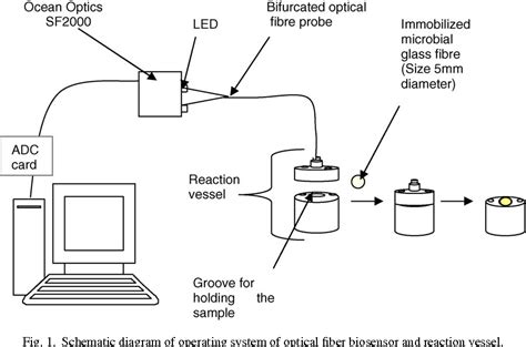 Figure 1 From Optical Microbial Biosensor For Detection Of Methyl