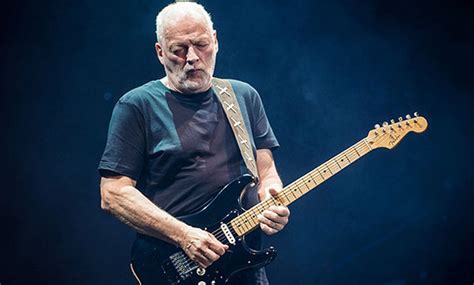 The Fender Stratocaster Story
