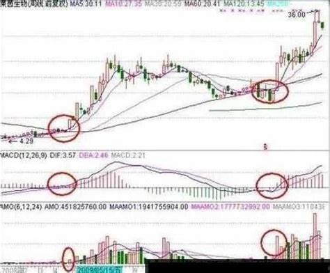 周线选股技巧实例解析 中金在线财经号