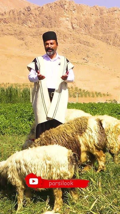 چشمان منتظر دکتر روح‌الله کریمی کیارسی Parsilook Youtube