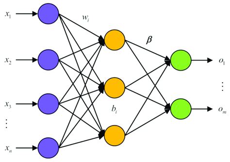 the network model of elm download scientific diagram