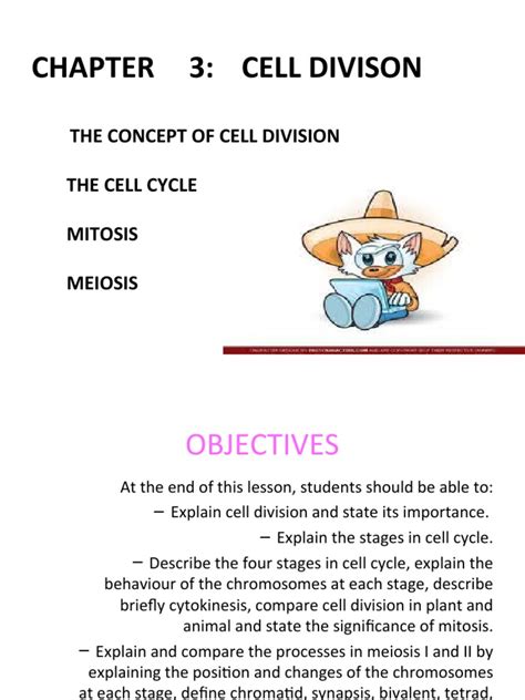Chapter 3 Cell Divison The Concept Of Cell Division The Cell Cycle