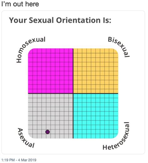 I M Out Here Idrlabs Sexual Orientation Test Know Your Meme