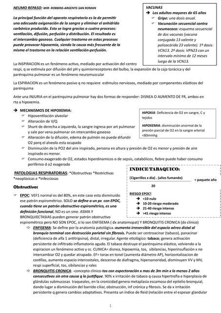 Patología Respiratoria Luuu uDocz