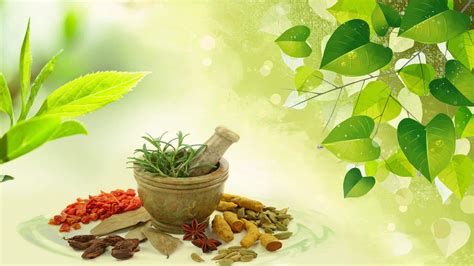 Ayurvedic Medicine Pictures