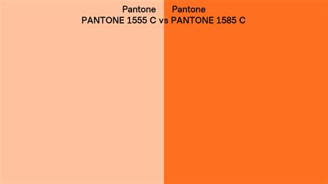 Pantone 1555 C Vs Pantone 1585 C Side By Side Comparison