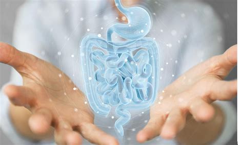 Ai As Microbiome Interpreters How Algorithms Uncover Our Gut Health