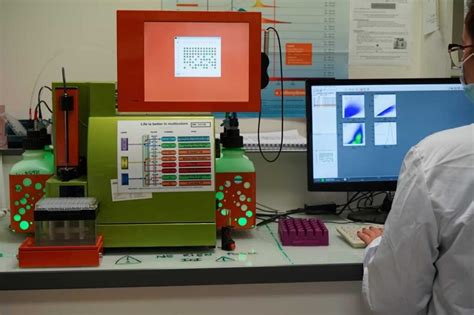 Top 6 Bd Flow Cytometry In Biomedical Research