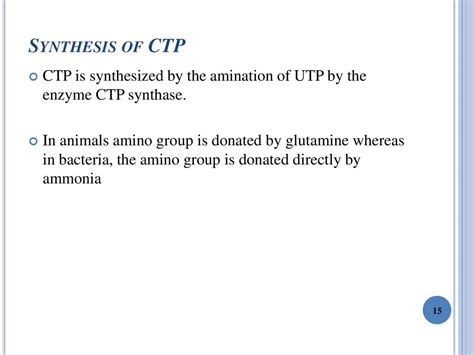 Synthesis Of Pyrimidine Nucleotides Ppt Download