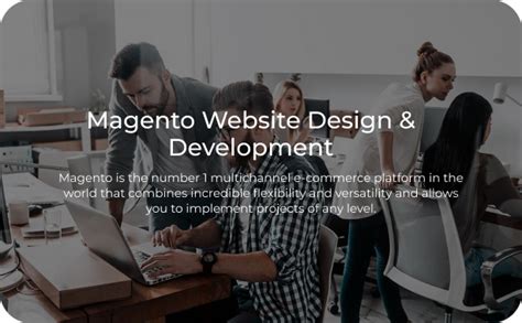 Сustom web development services
