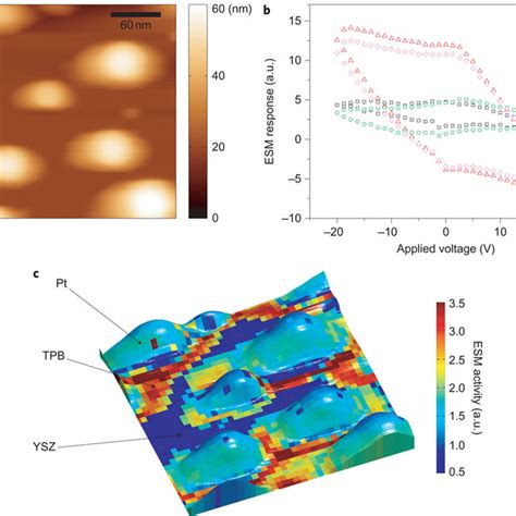 Mapping Electrochemical Activity Near A Triple Phase Boundary A Download Scientific Diagram