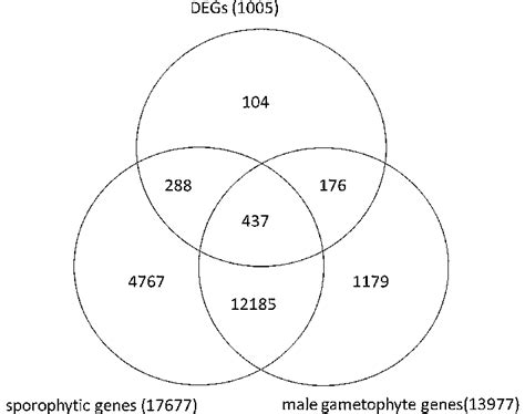 Comparison Between Differentially Expressed Genes DEGs And Genes