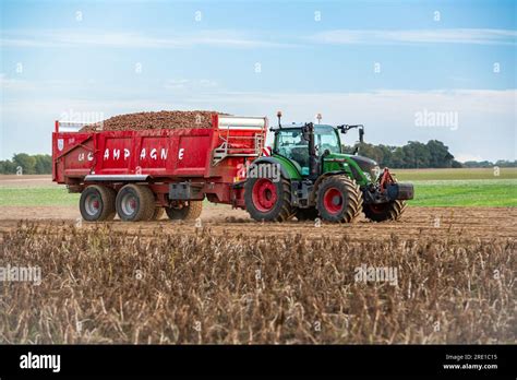Potato Harvesting On A Plain Tractor With Trailer Full Of Potatoes