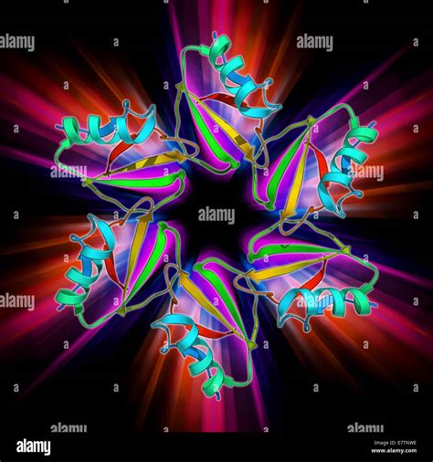 Chymotrypsin Inhibitor 2 Molecular Model This Enzyme Is A Serine Protease Inhibitor Serpin
