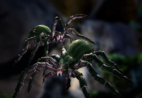 Spider Hatchling Official Victor Vran Wiki