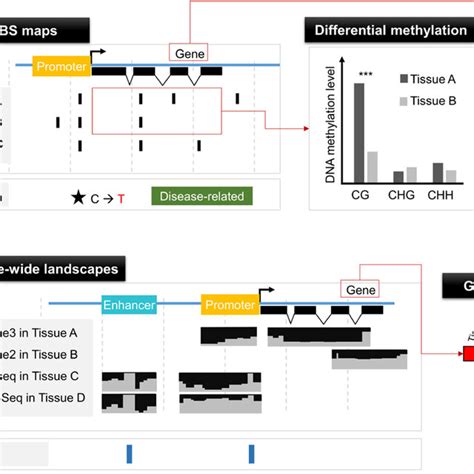 The Simple Examples Of Search Results From A Databases Of Dna