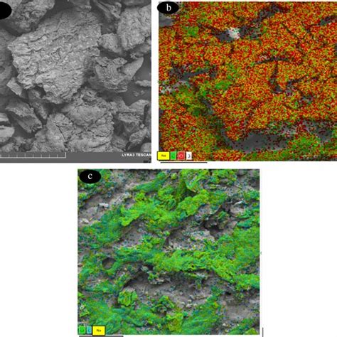 Biomass Before A Cr Vi Adsorption Biomass Chemical Modifications Download Scientific