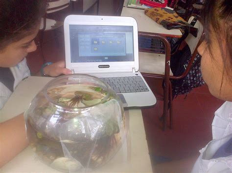 Expedición Aula Digital Programando Con Scratch 6to Grado