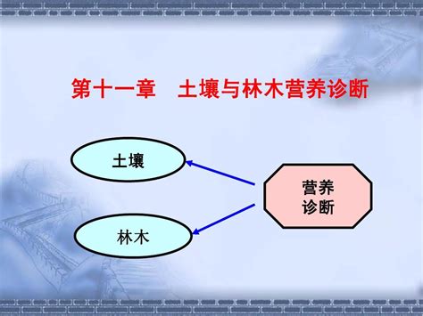 第十一章 土壤与林木营养诊断word文档在线阅读与下载无忧文档