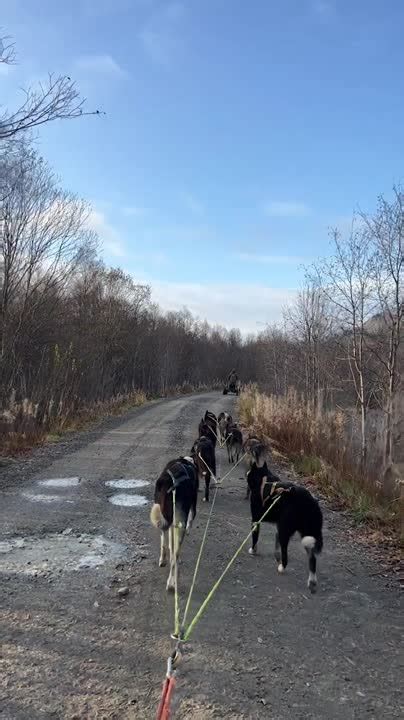 Alice Bromage Mba Bsc Mcmi Frgs Frsa On Linkedin Resilience Calm Candidconversations