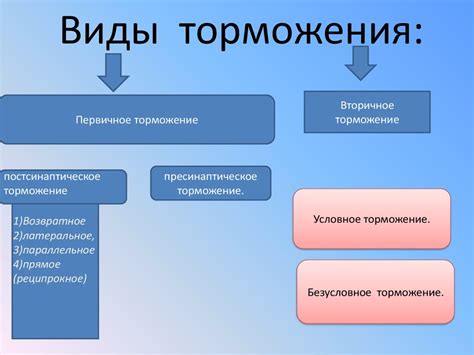 Виды и механизмы центрального торможения и его роль в деятельности