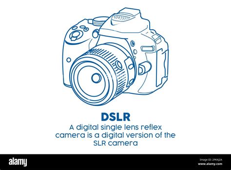 Dslr Camera Hand Drawn Line Art Vector Illustration Stock Vector Image
