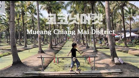 치앙마이여행 4년만에 다시온 선데이마켓 러스틱마켓에서 코코넛마켓으로 Youtube