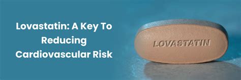 Lovastatin Cardiovascular Risk Reduction