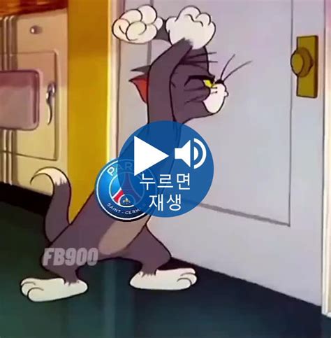 톰과제리로 보는 파리생제르망 유머움짤이슈 에펨코리아