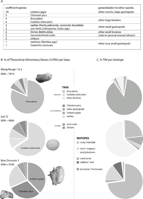 A Synthetic Table Of Theoretical Coefficients Used In The Calculation Download Scientific
