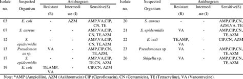 Antibiogram Pattern Of Different Isolates Download Table