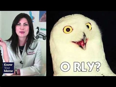 Ya Rly Owl