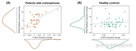 Bmc Med︱空军军医大学崔龙彪团队揭示免疫介导首发精神分裂症患者脑结构重塑 知乎