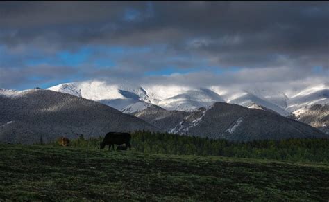 УРАН БАГАЖ ББ Авто засварын тоног төхөөрөмж багаж хэрэгсэл дугуй засварын тоног төхөөрөмж
