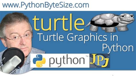 Understanding Turtle Graphics In Python A Guide To Cartesian