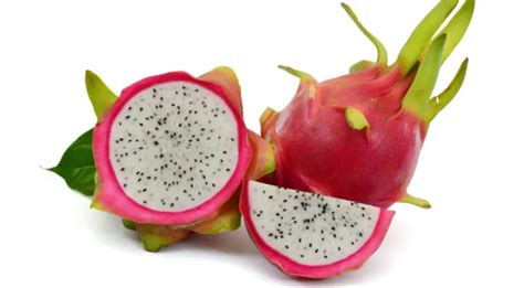 Питахайя описание продукта как выбирать как готовить читайте на