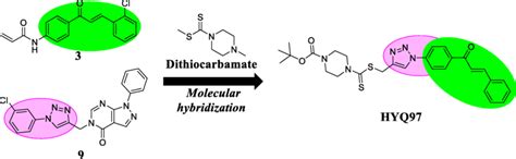 Molecular Hybridization Strategy For Compound Hyq97 Download