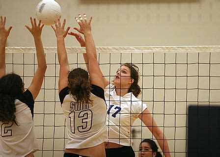 libre de regalías voleibol fotos descarga gratuita Piqsels
