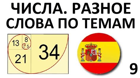 ИСПАНСКИЙ ЯЗЫК СЛОВАРЬ ПО ТЕМАМ Числа Разное Youtube