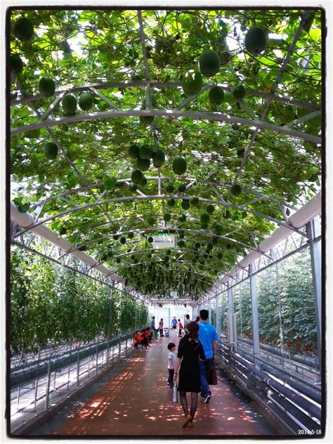 寿光蔬菜博览会门票寿光蔬菜博览会地址 丫空间
