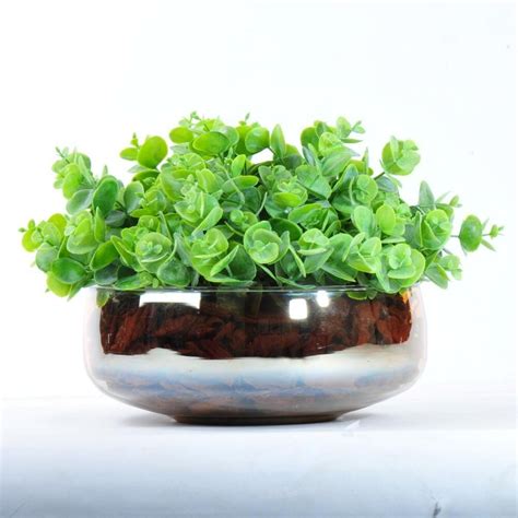 Arranjo Jardim De Eucaliptos Em Vaso Ambar Parcelamento Sem Juros