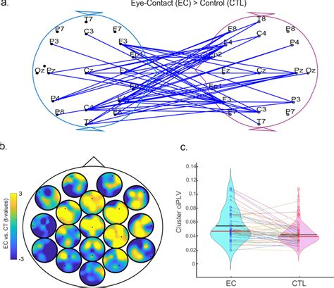 Interbrain Synchronization During Eye Contact Gamma Band Brain