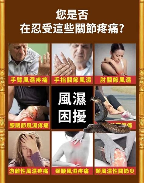 鄒潤安泰國透骨膏台灣店 治療肩周炎頸椎病風濕疼痛腰腿膝蓋關節勞損強效止痛膏
