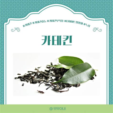 카테킨효능과 부작용 확인해요 네이버 블로그