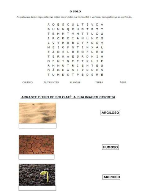 Atividade Adaptada De Geografia Solo 1 Pdf