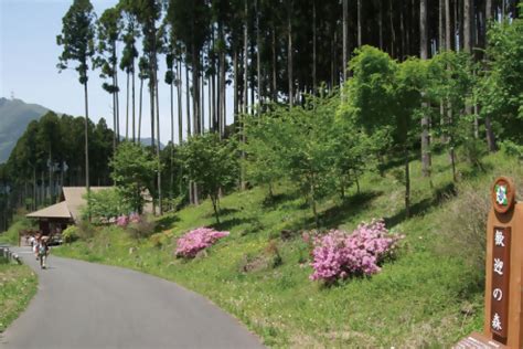 高山市民の森静岡市公式ホームページ