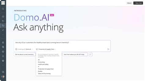 Ai Data Domo