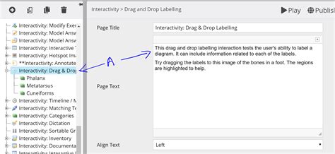 Drag And Drop Quiz Onto An Image Forum XCW