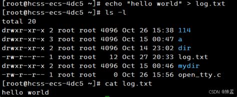 Linux——常见指令及其权限理解 Csdn博客