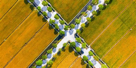 Mark Innes On Linkedin Ibm Institute For Business Value Research